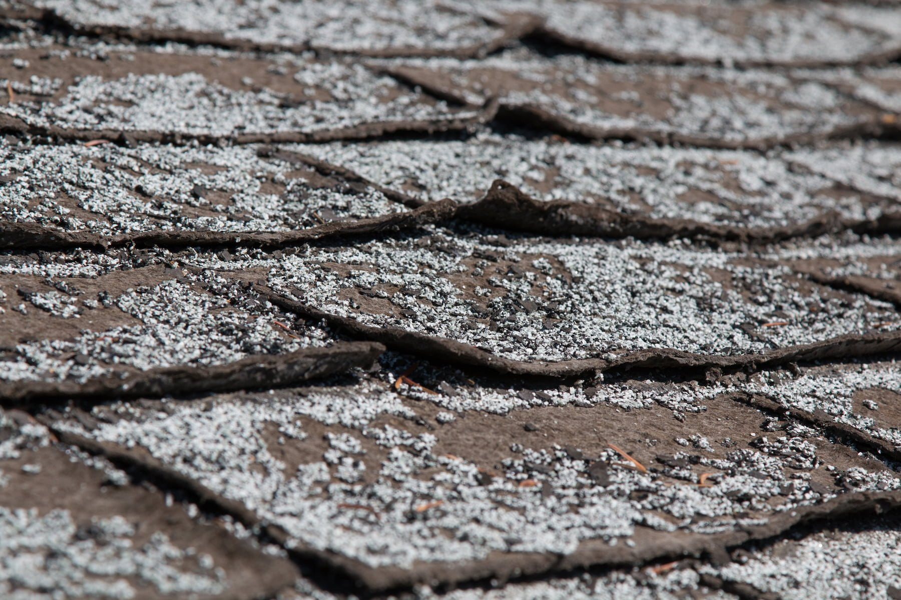 Why are There Granules in Your Gutters? » First Out Roofing